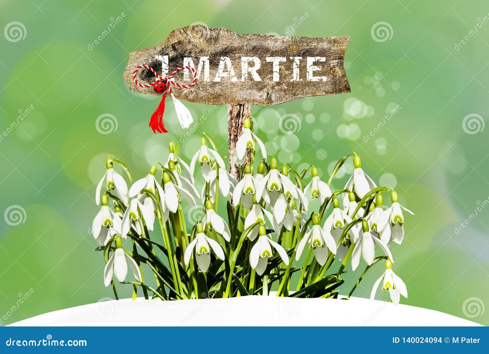 White Snowdrops and Romanian Traditional Spring Symbol Stock Photo ...