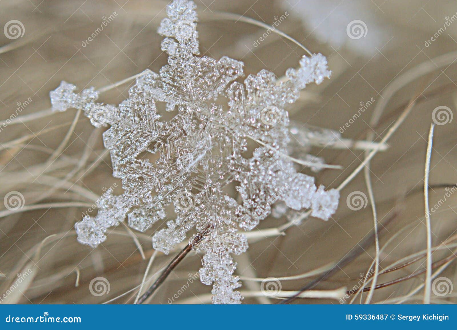 White snowflake crystal stock image. Image of flake, frosted - 59336487