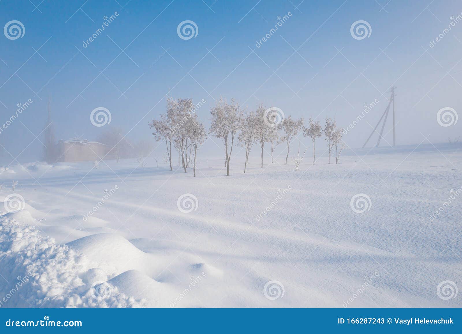 White Snowy Field with Trees Stock Image - Image of backgrounds, fence ...