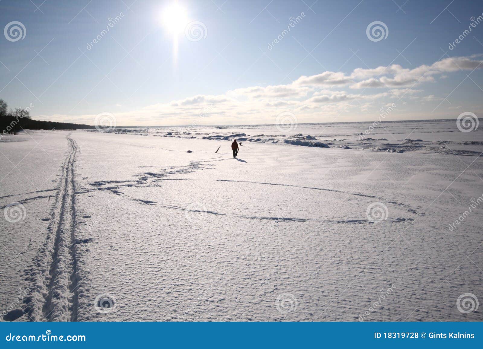 The white, snowy sea coast stock photo. Image of nature - 18319728