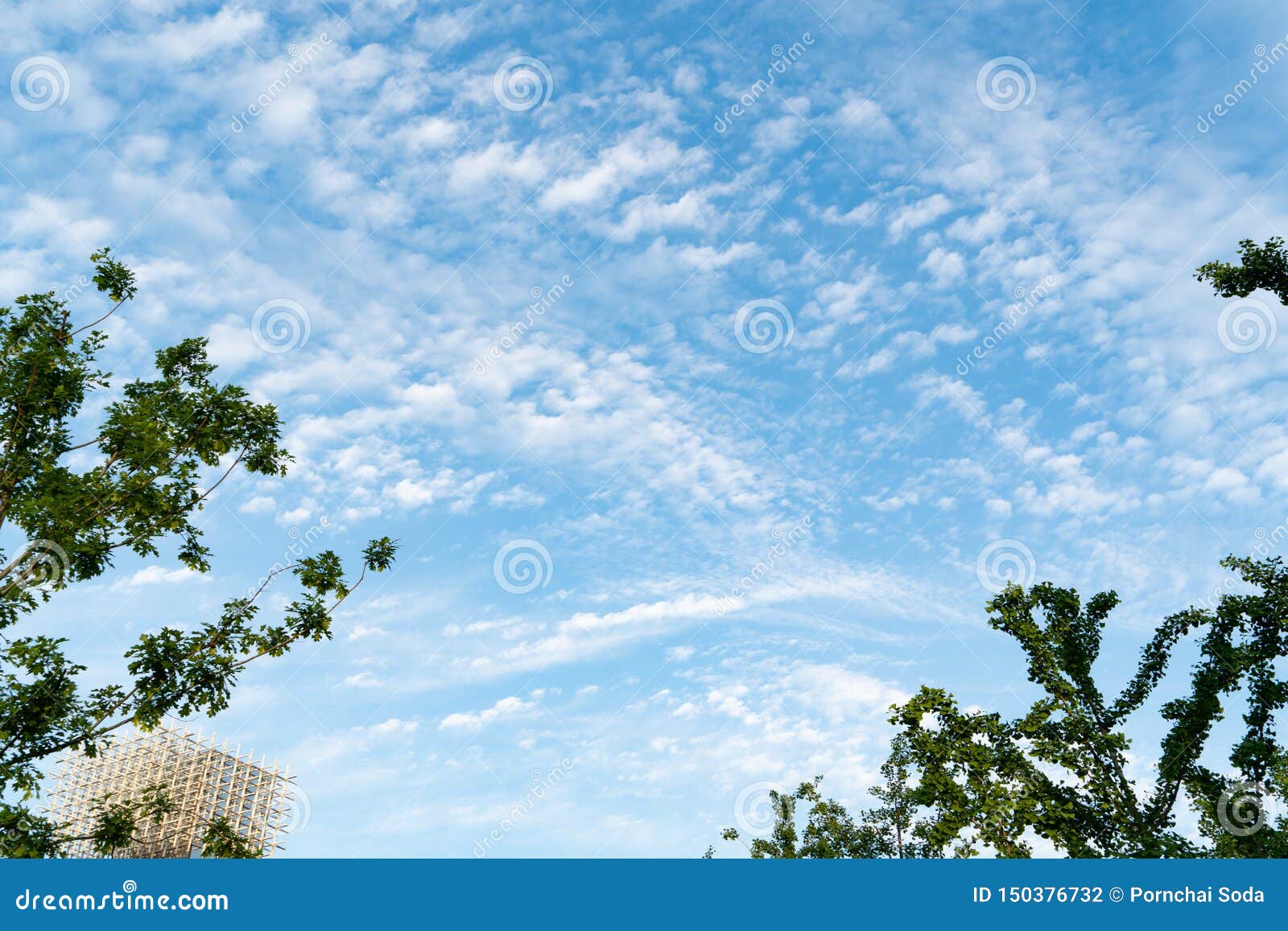 White Soft Cloud Texture on Blue Sky Backdrop Stock Photo - Image of ...