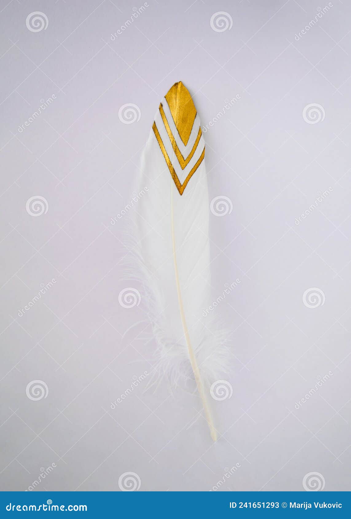 White Soft Feather on a White Background. Smooth, Light Texture Stock ...