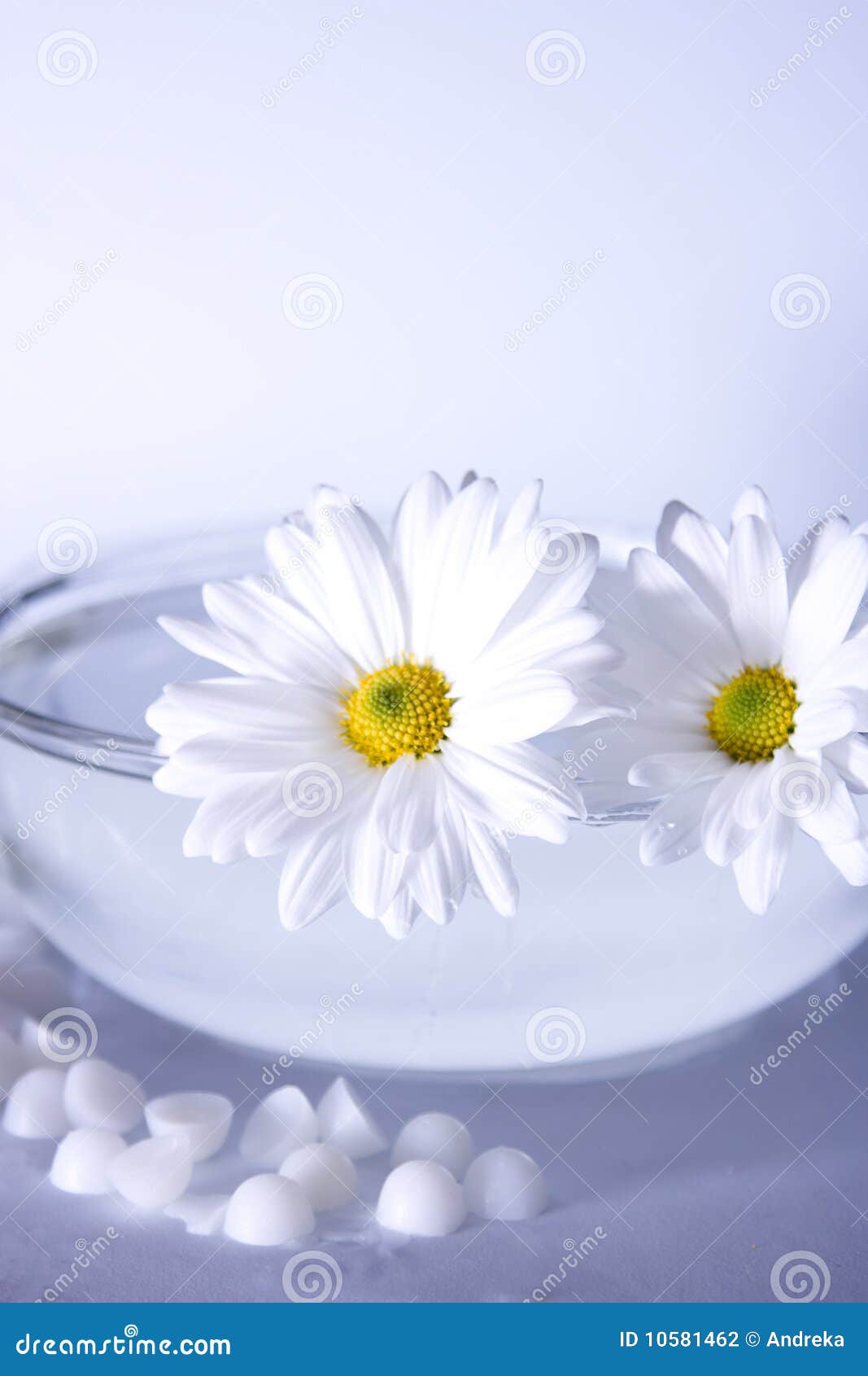 White Spa stock photo. Image of relaxation, purity, tenderness - 10581462