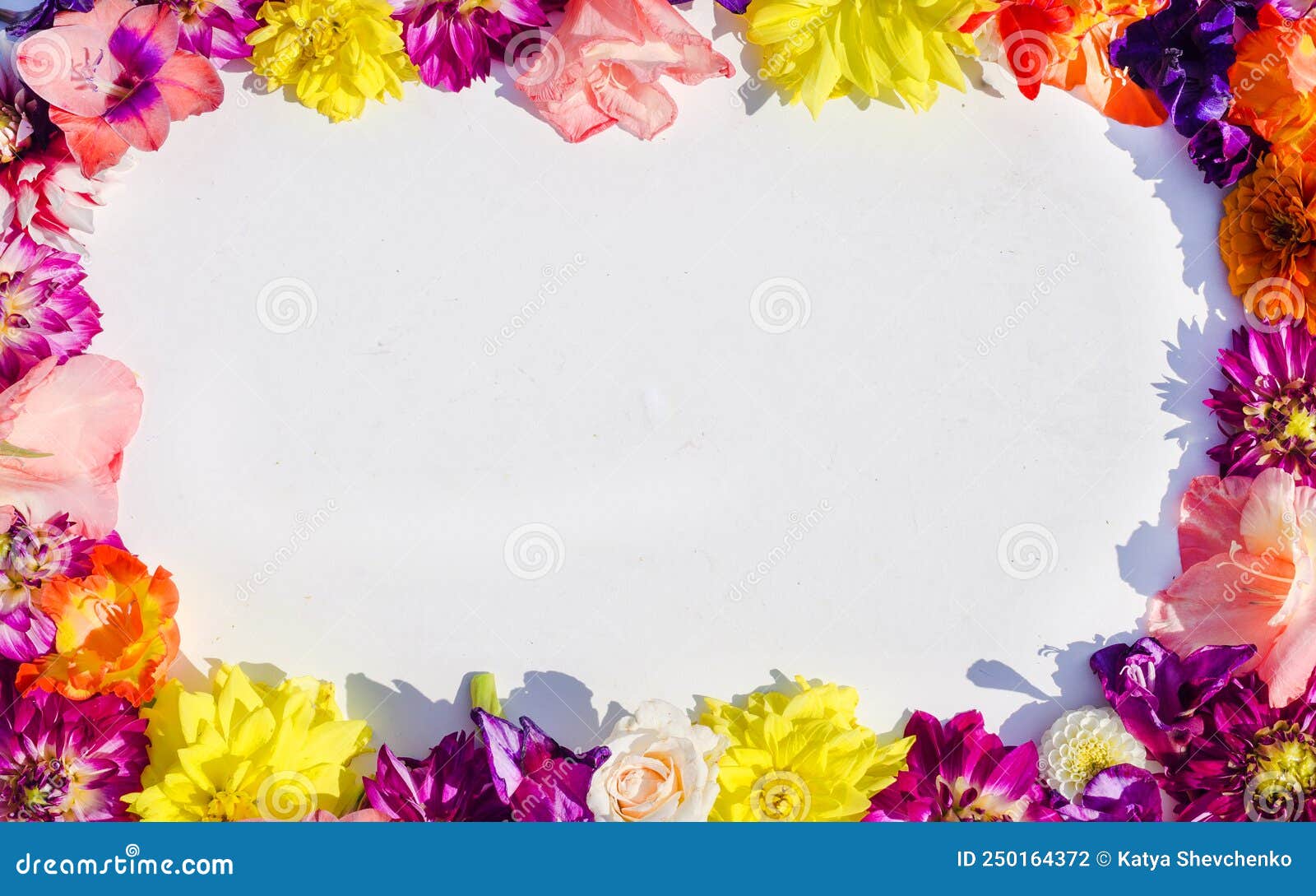 White Space for Text or Message in a Frame of Bright Colors Stock Photo ...