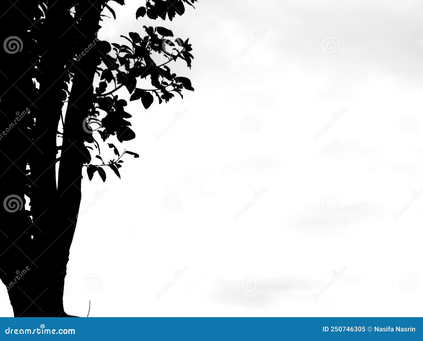 White Space for Text with a Tree Silhouette in Left Stock Image - Image ...
