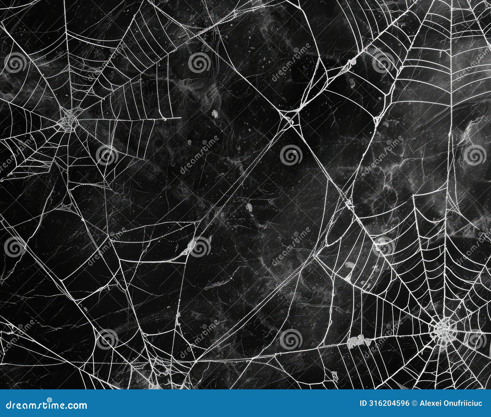 White spider web in black stock photo. Image of design - 316204596