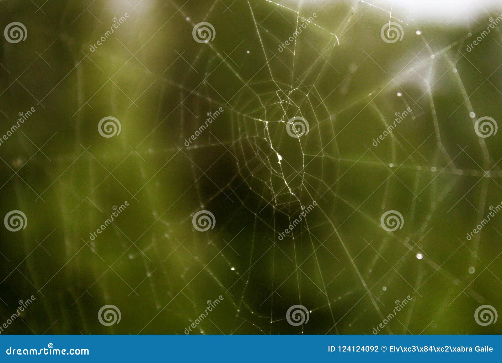 White spider web in light stock photo. Image of cobweb - 124124092