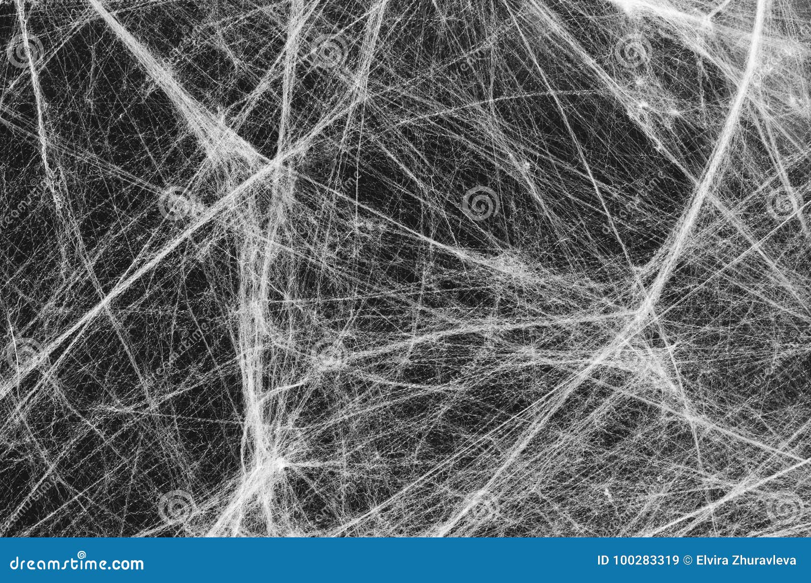 Spider Web Background - Cobweb Texture Royalty-Free Stock Photography ...