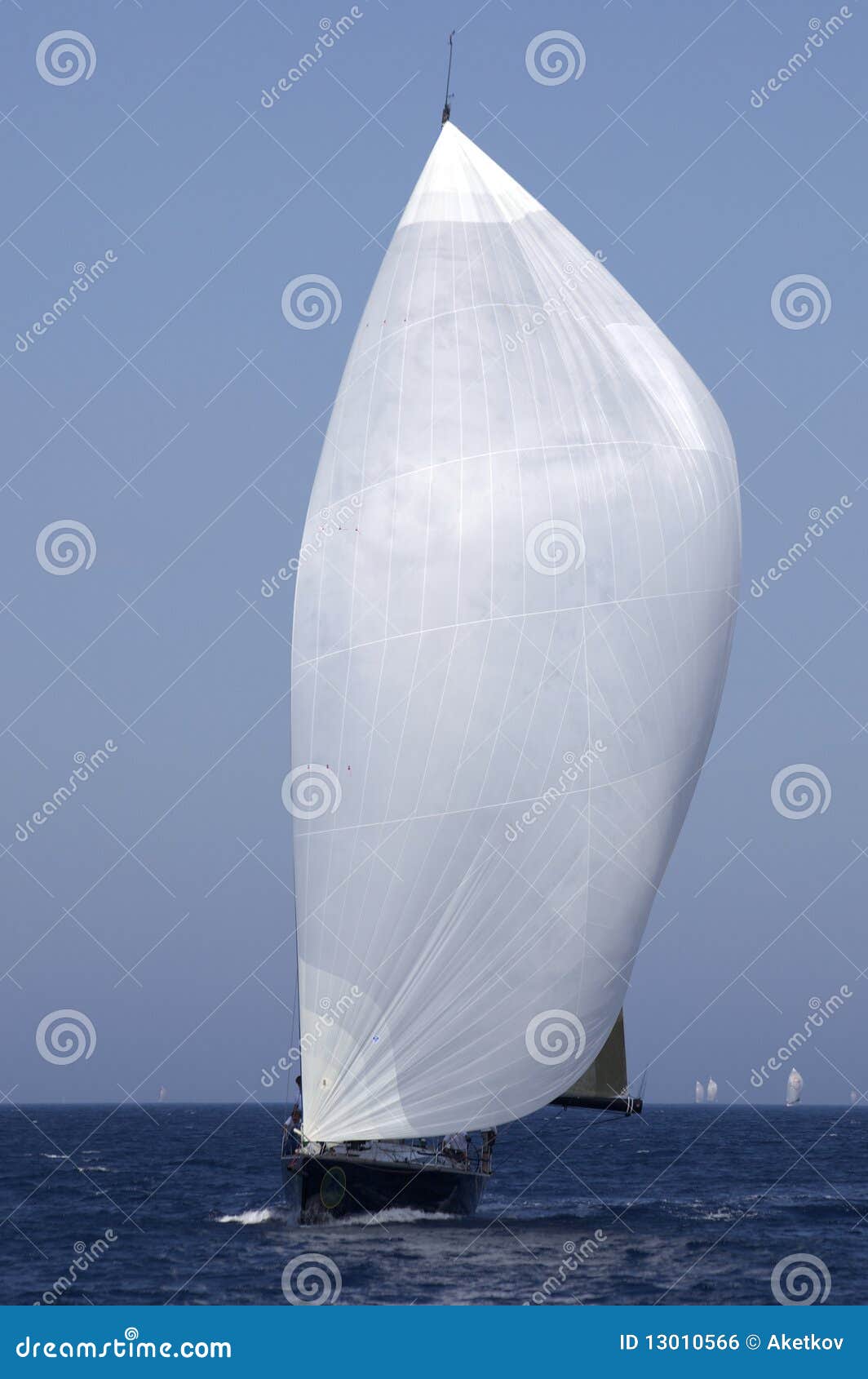 White Spinnaker in the Wind Stock Photo - Image of leader, motion: 13010566