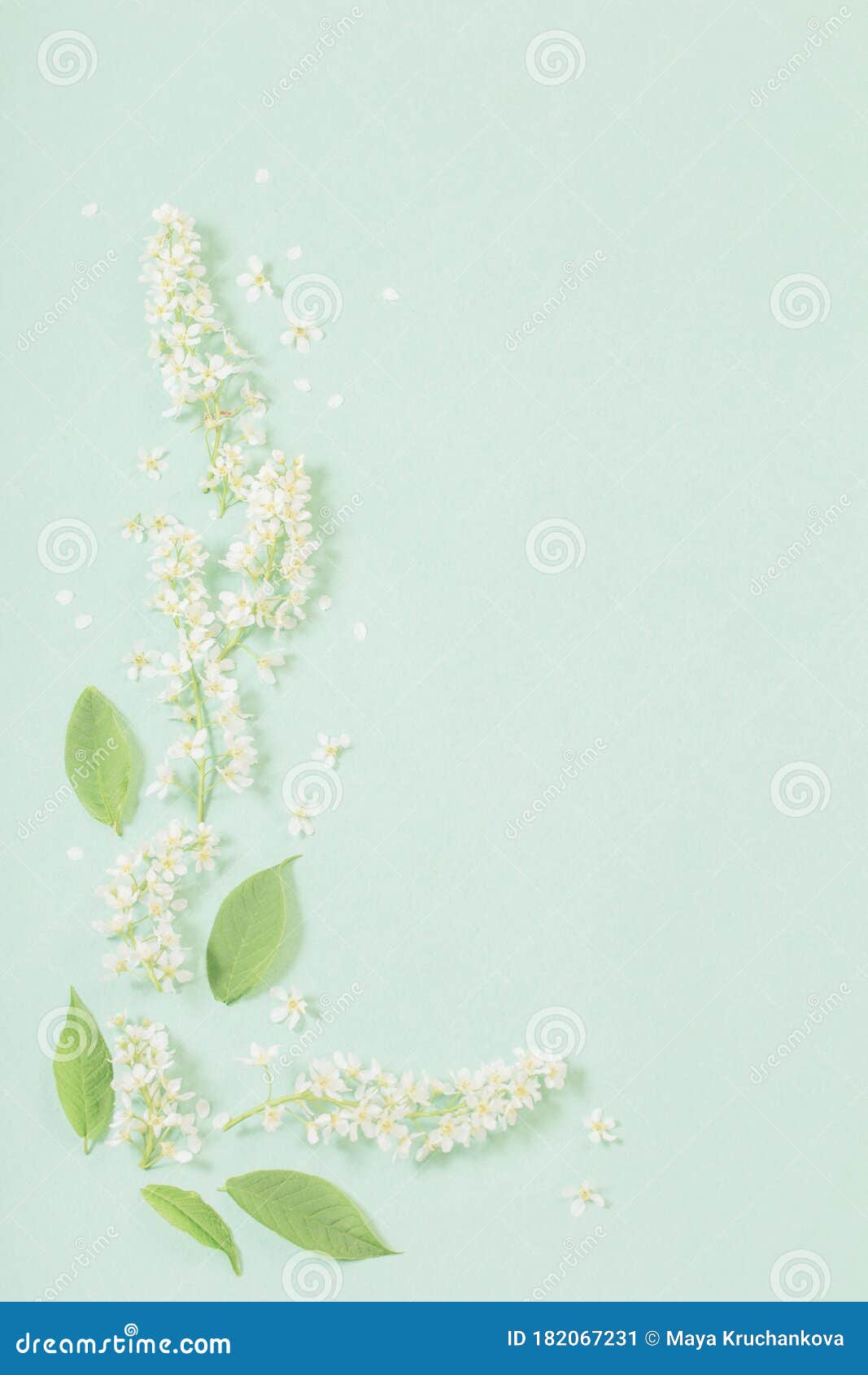 Spring Flowers on Paper Background Stock Image - Image of copy, floral ...
