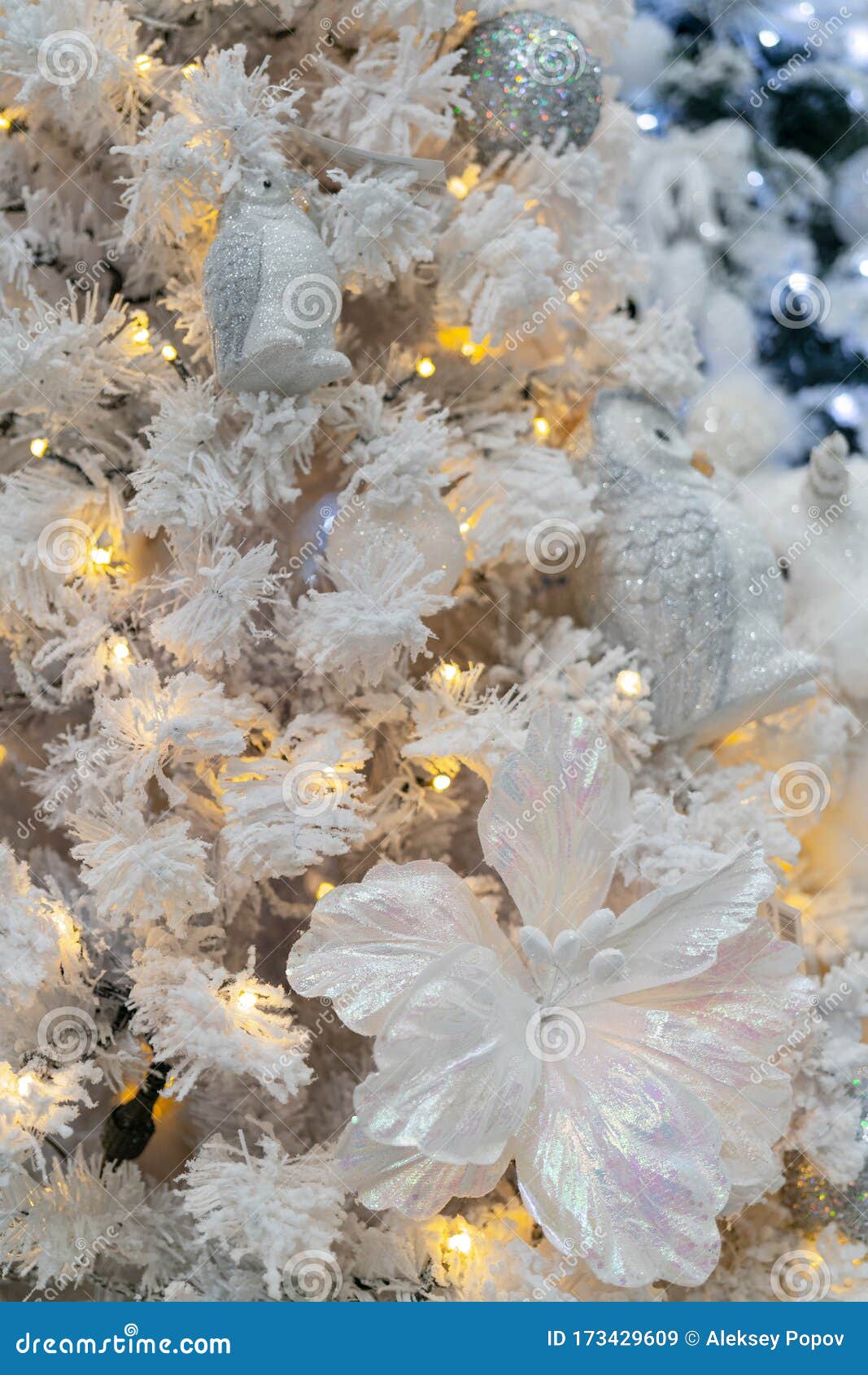 White Spruce Branches - Christmas Tree. Background for Design Stock ...