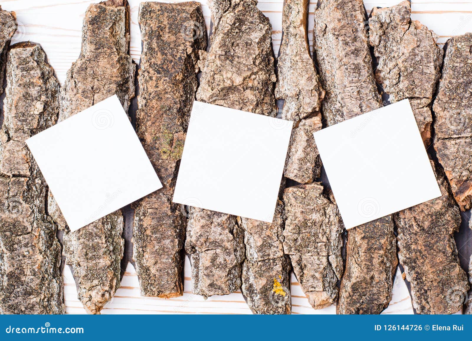 White Square Sheets for Writing Lie on Pieces of Bark of a Tree Stock ...
