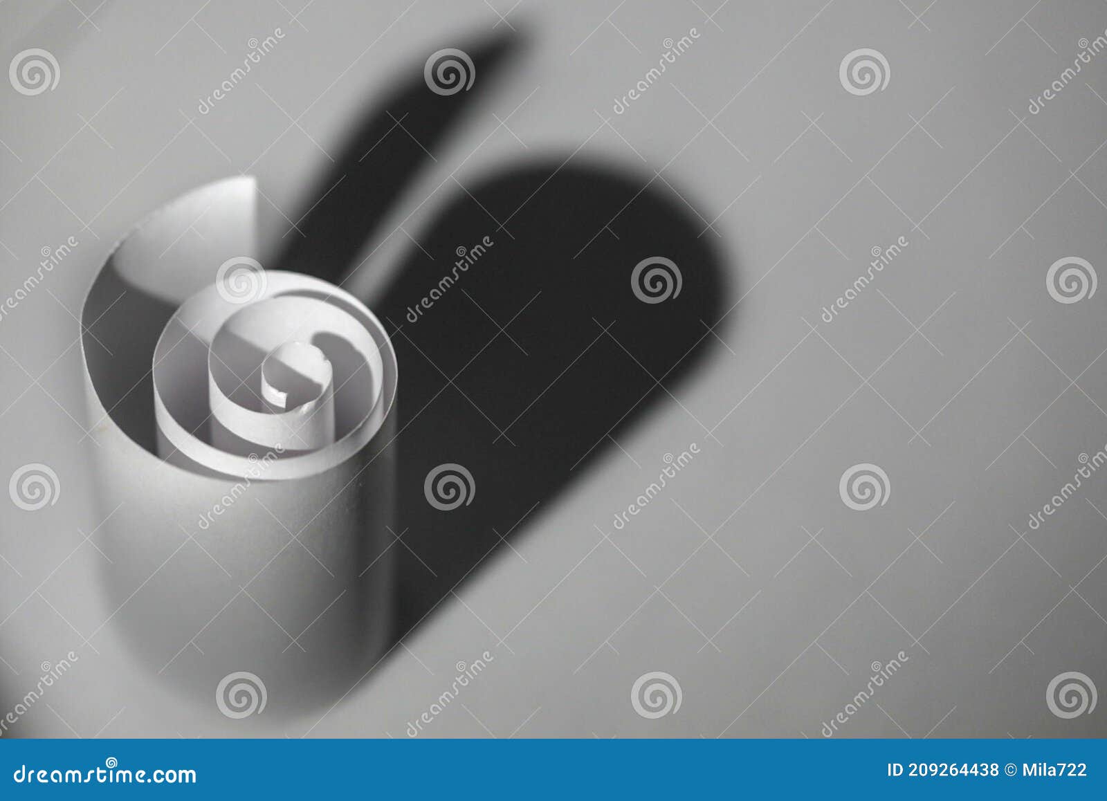 White Standing Paper Roll Twirled into Spiral with Hard Shadows, Top ...