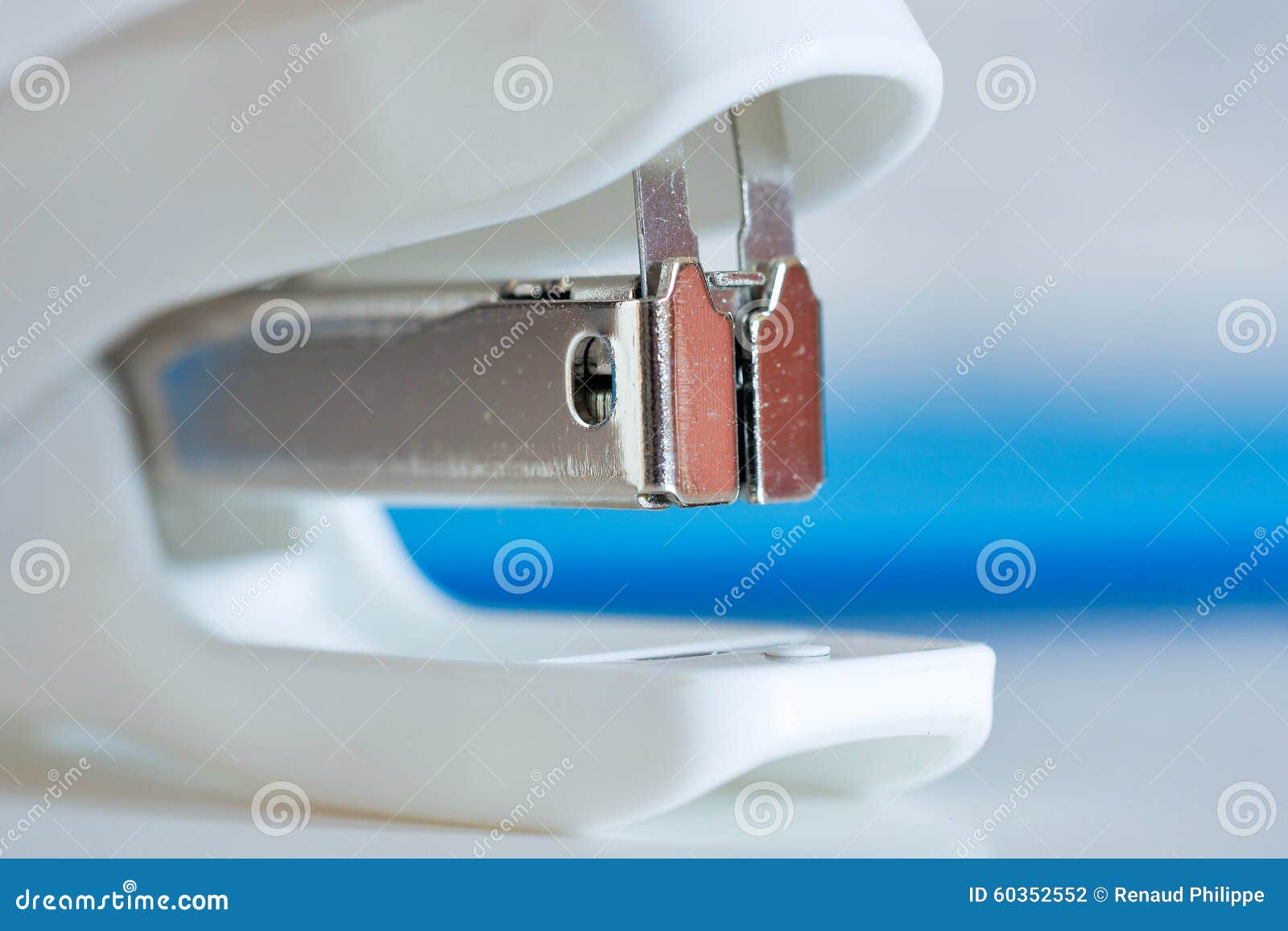 White stapler stock photo. Image of office, studio, staple - 60352552