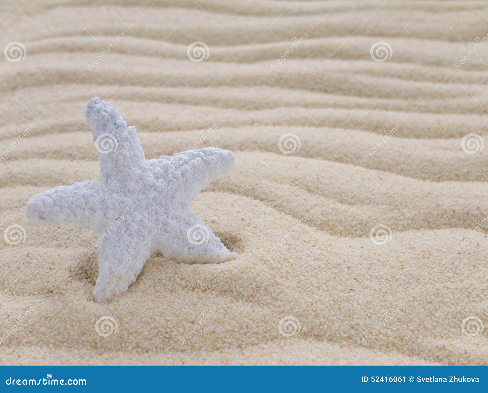 White starfish stock image. Image of ocean, waves, white - 52416061