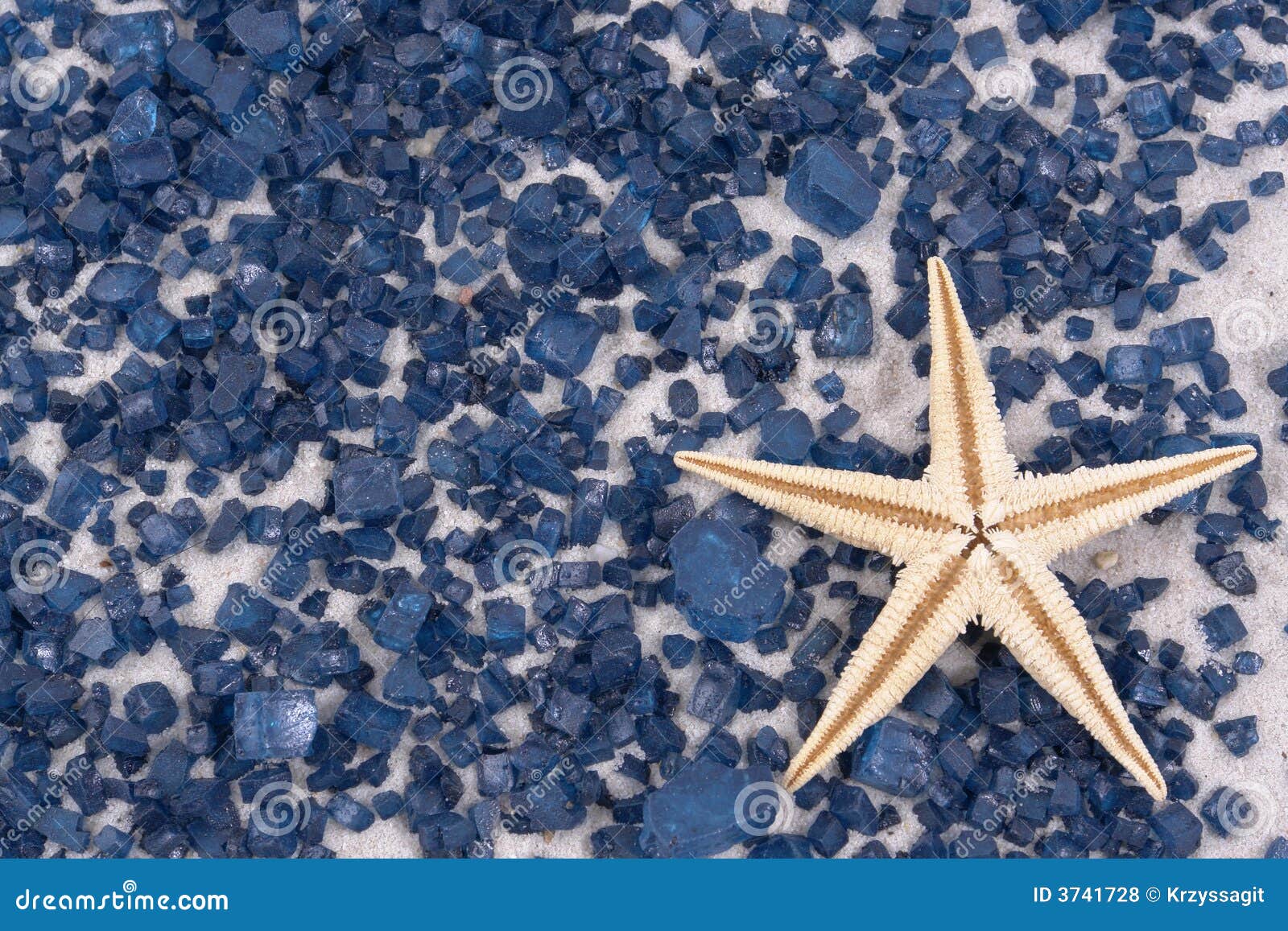 White Starfish on Black Rocks Stock Photo - Image of pentaradial ...