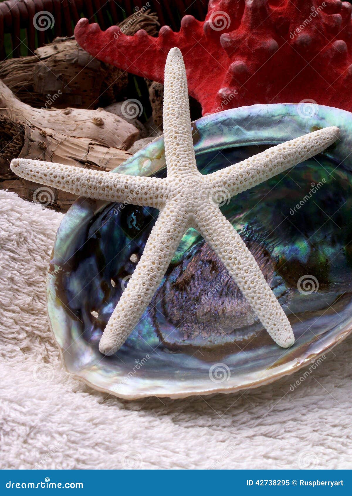 Starfish and Nacre Seashell Stock Image - Image of nacre, fish: 42738295