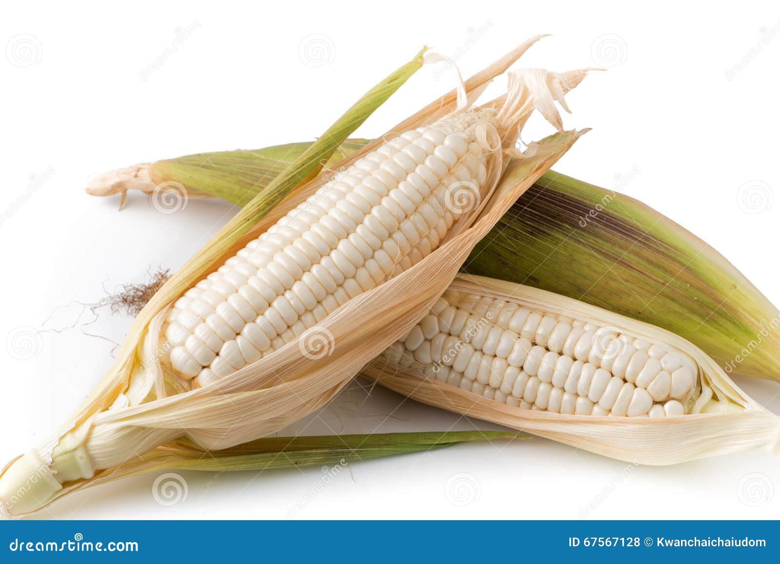 Corn Corn With White Background. Stock Image | CartoonDealer.com #181747045
