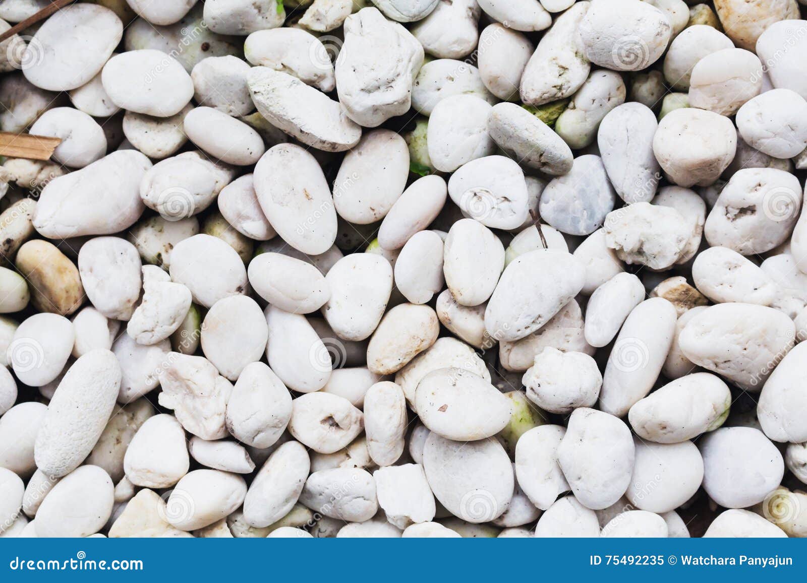 White Stone Background, Dry Round Stock Image - Image of outdoors ...