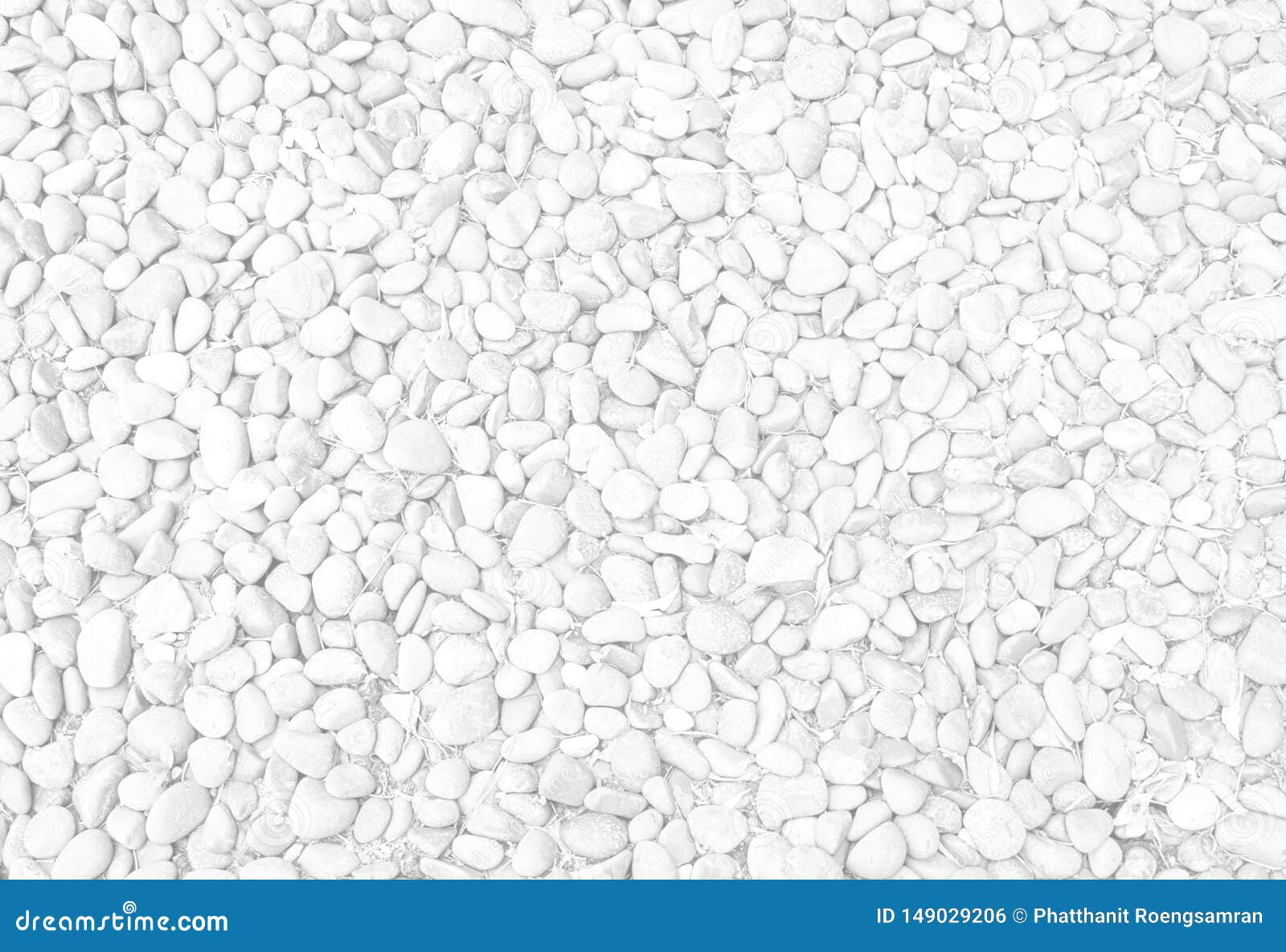 White Stone Background and Texture and Leaves Stock Photo - Image of ...