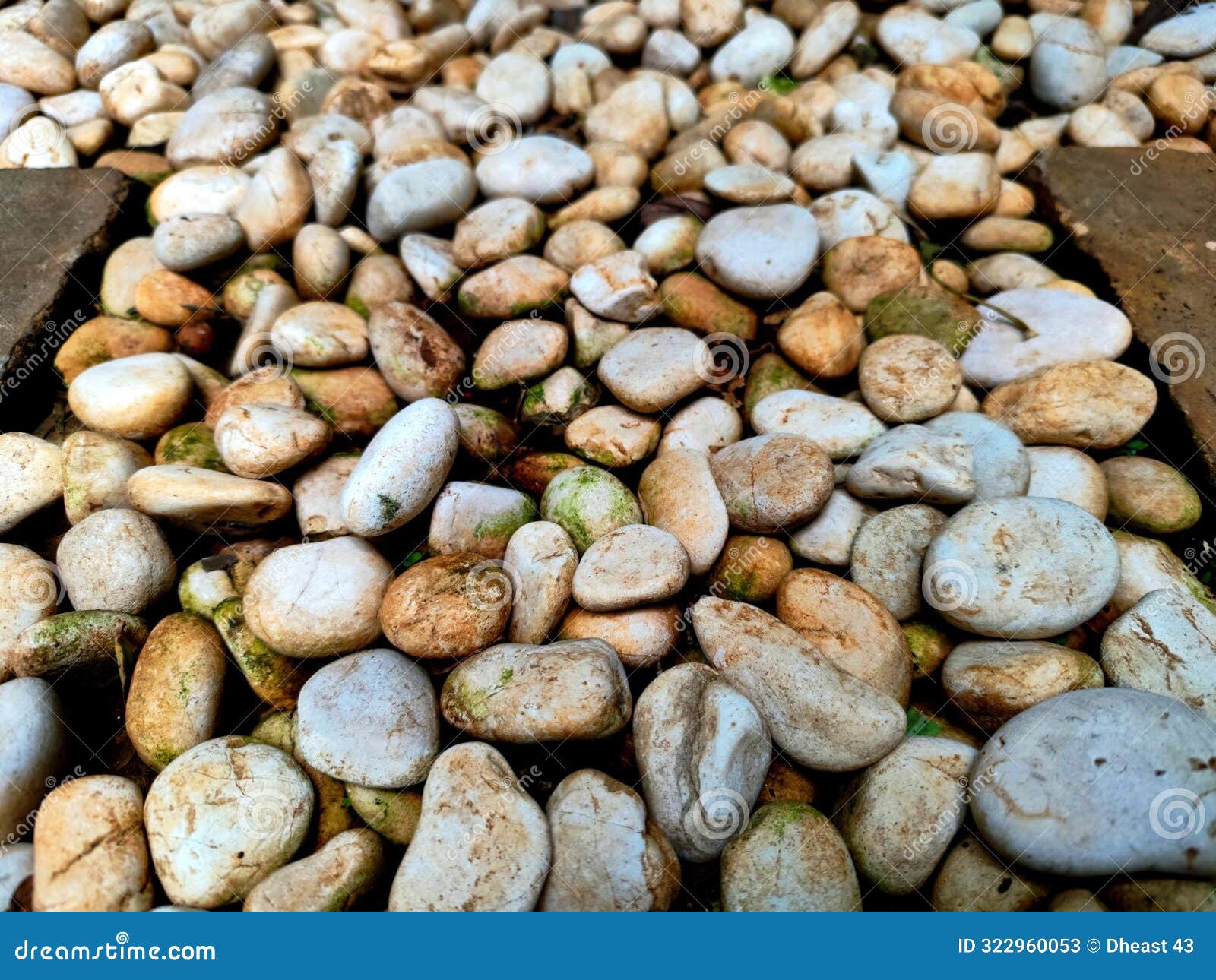 White Stone that Changes Color Stock Image - Image of change, backyard ...