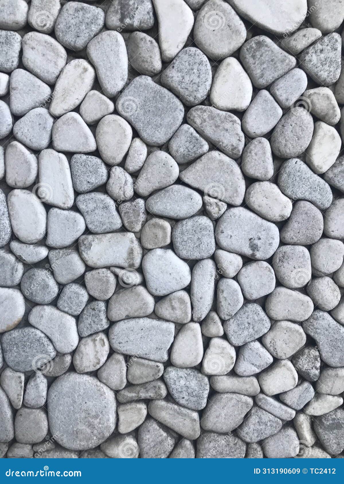 White Stone Cladding on a Wall Stock Image - Image of textured ...