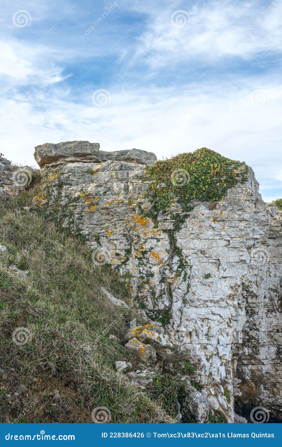 White Stone Cliffs Near the Sea Covered Stock Photo - Image of ...