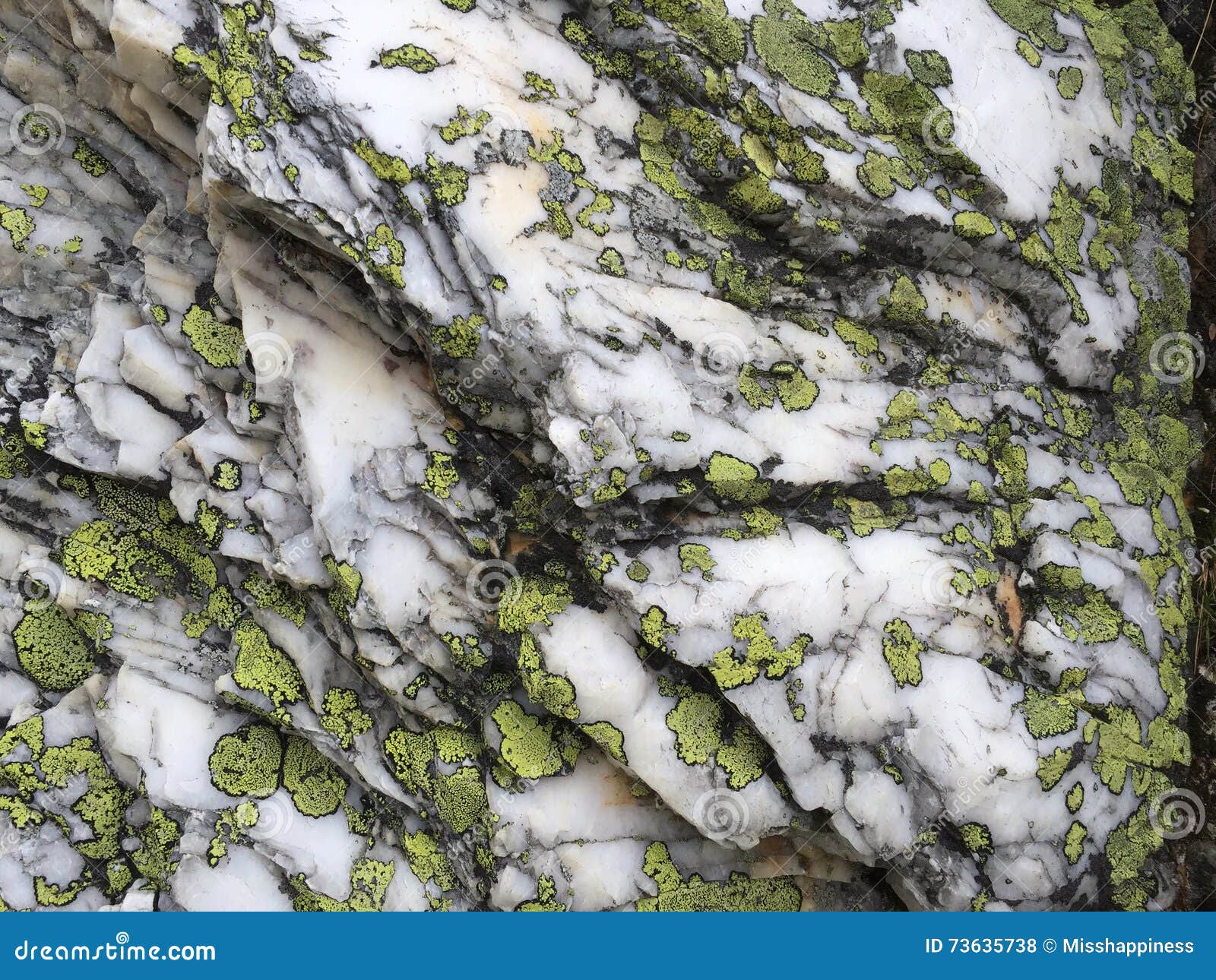 White Stone with Green Spots Stock Photo - Image of white, textures ...