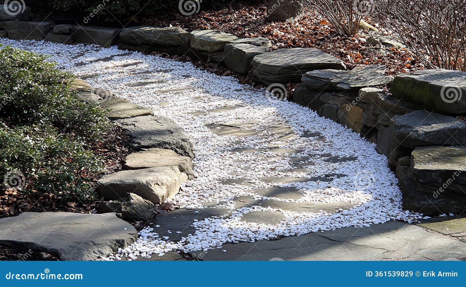 White Stone Pathway, Garden, Sunlight, Winter, Landscaping Stock Image ...