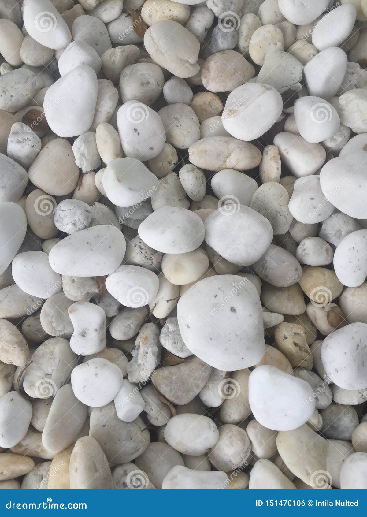 White Stone Pebble Texture Background Stock Photo - Image of texture ...