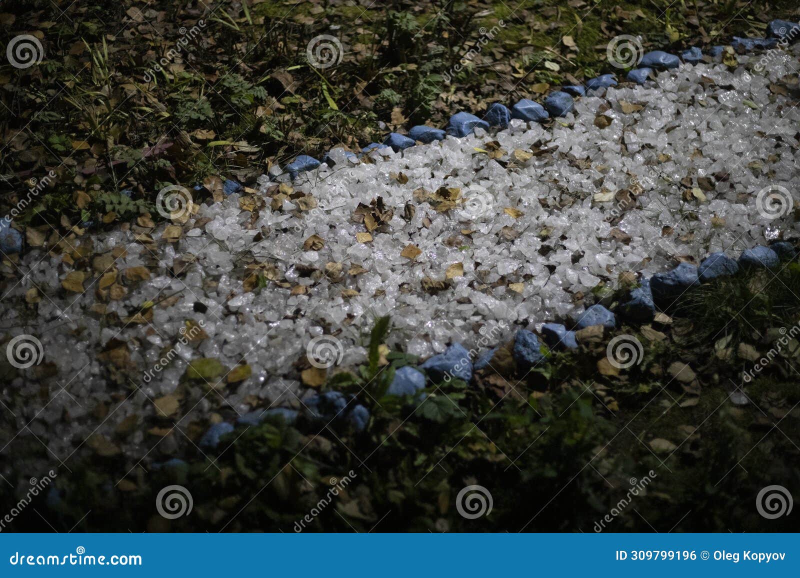 White Stones on the Path. Small Shard Texture Stock Photo - Image of ...