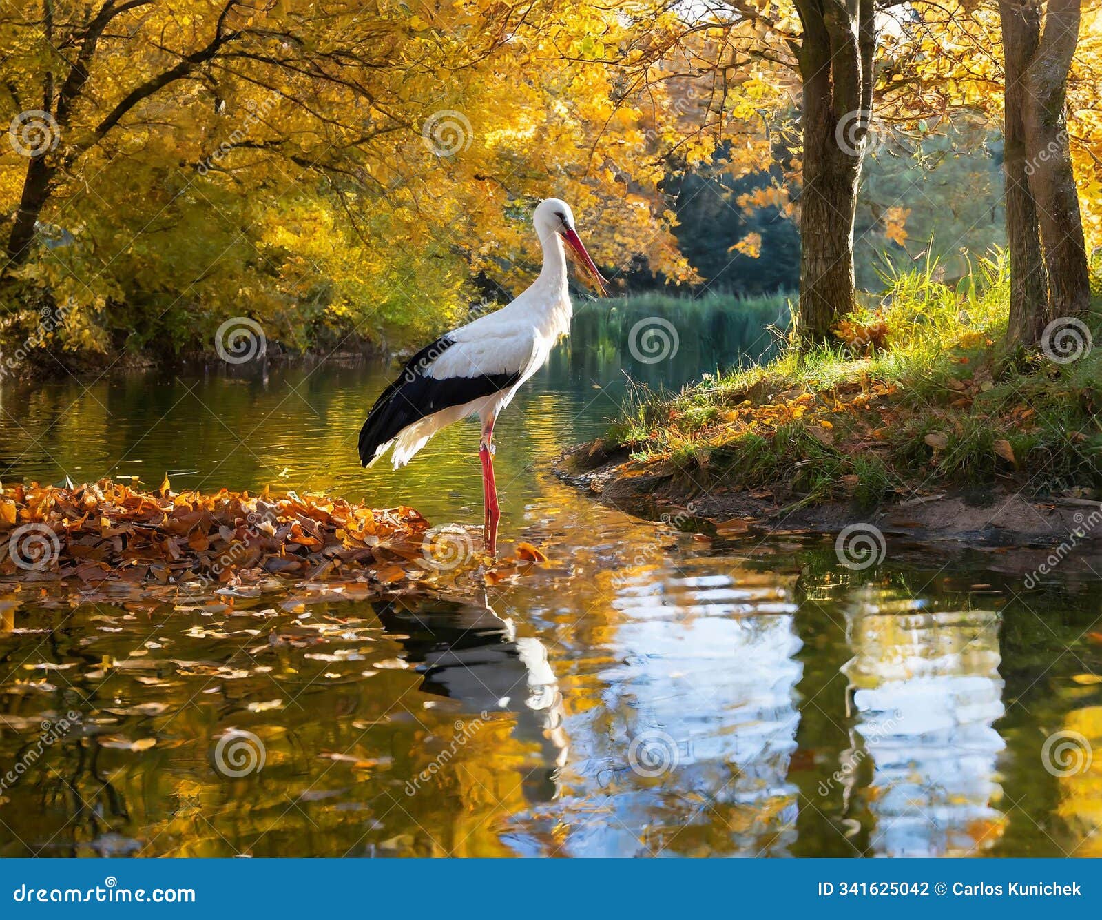 Stork Standing On One Leg Flat Cartoon | CartoonDealer.com #68247111