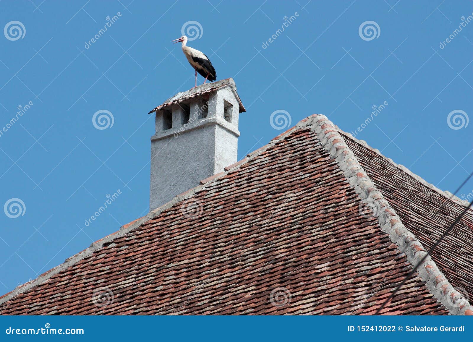 White Stork Standing on a Chimney in Romania Stock Photo - Image of ...