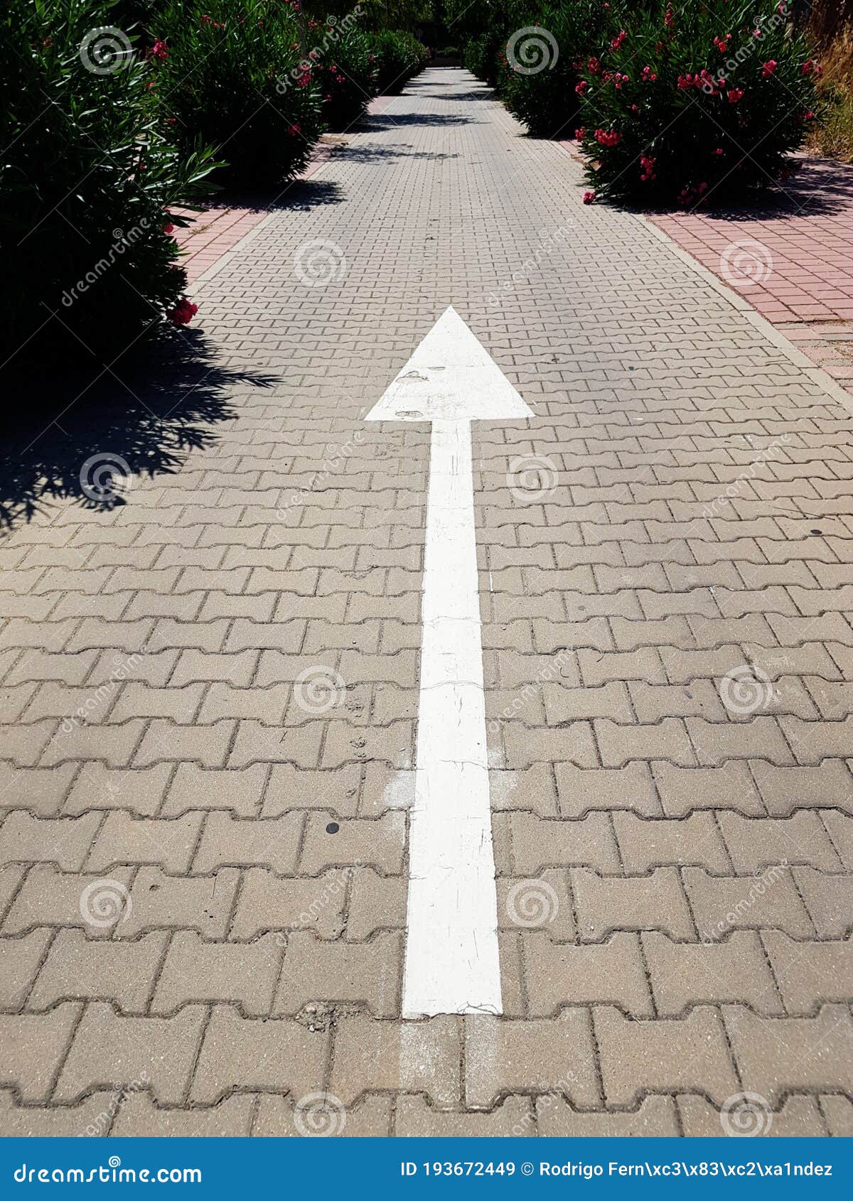 White Street Arrow Pointing To Direction of Traffic Stock Image - Image ...