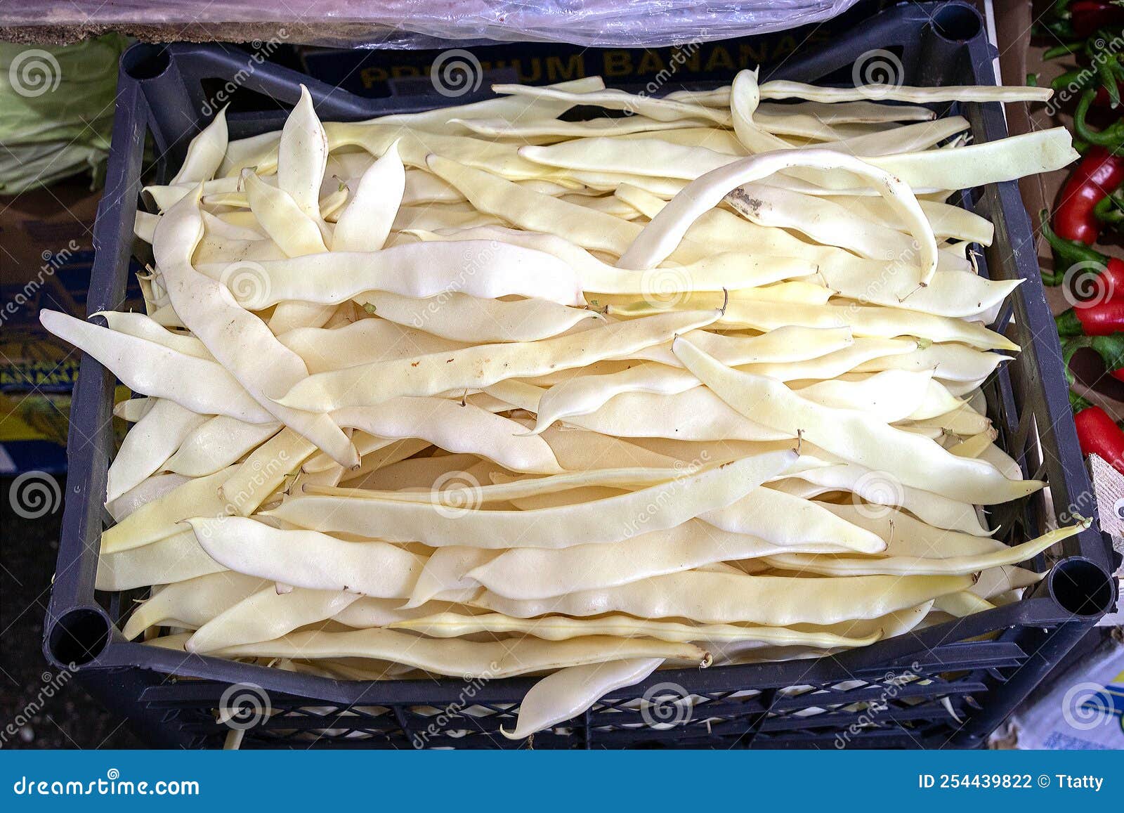 White String Brans Vegetable Stock Photo - Image of outdoors, healthy ...