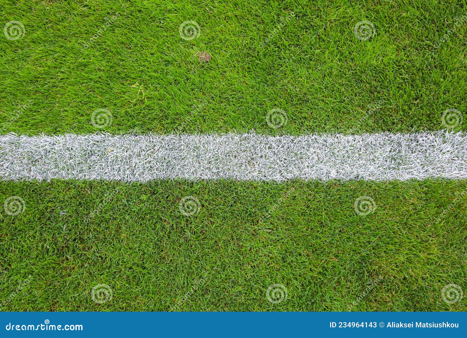 White Stripe on Green Grass on the Playing Field, Marking Stock Image ...