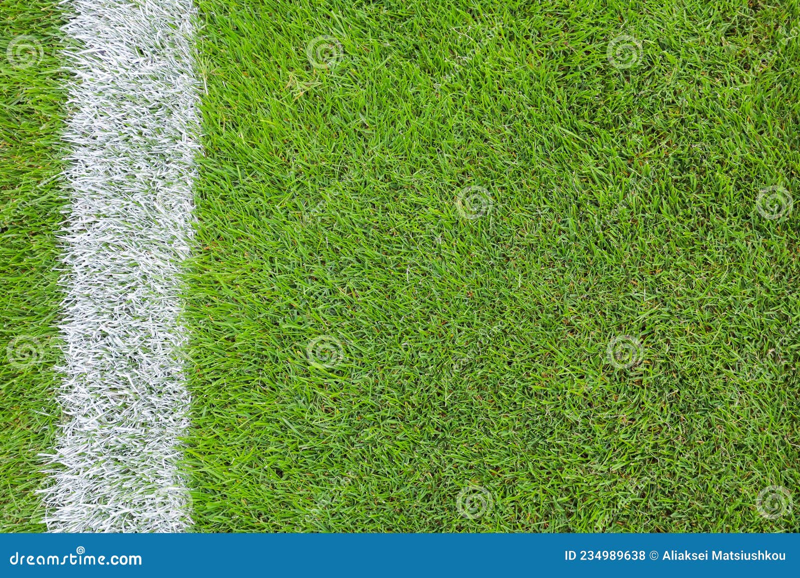 White Stripe on Green Grass on the Playing Field, Marking Stock Photo ...