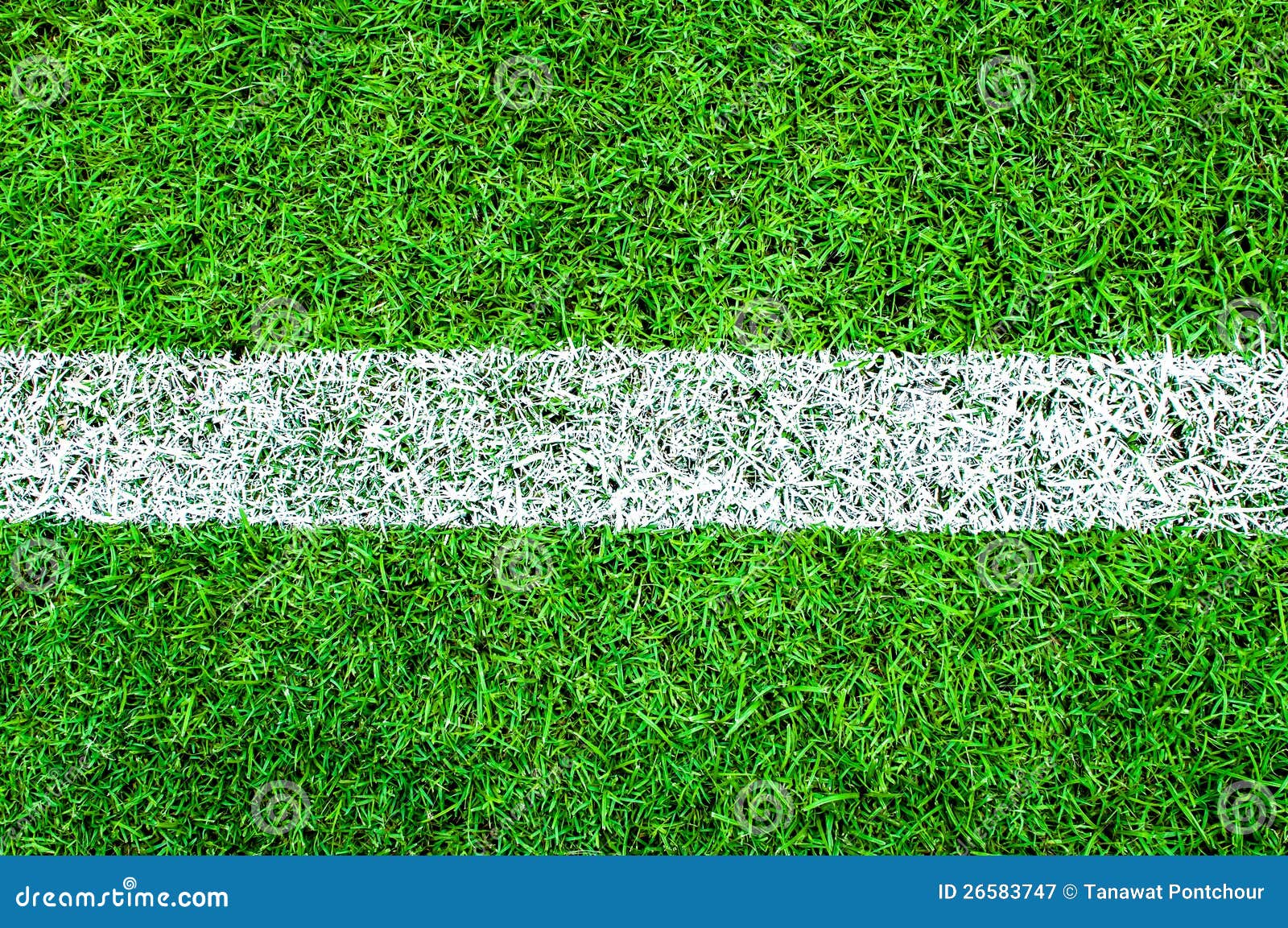 White Stripe on the Green Soccer Field Stock Image - Image of floor ...