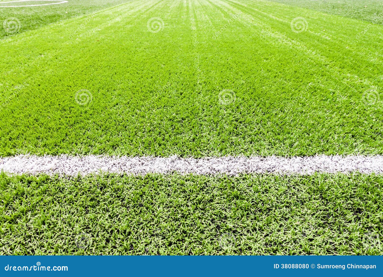White Stripe Line and Socker Field Stock Photo - Image of kick, nature ...
