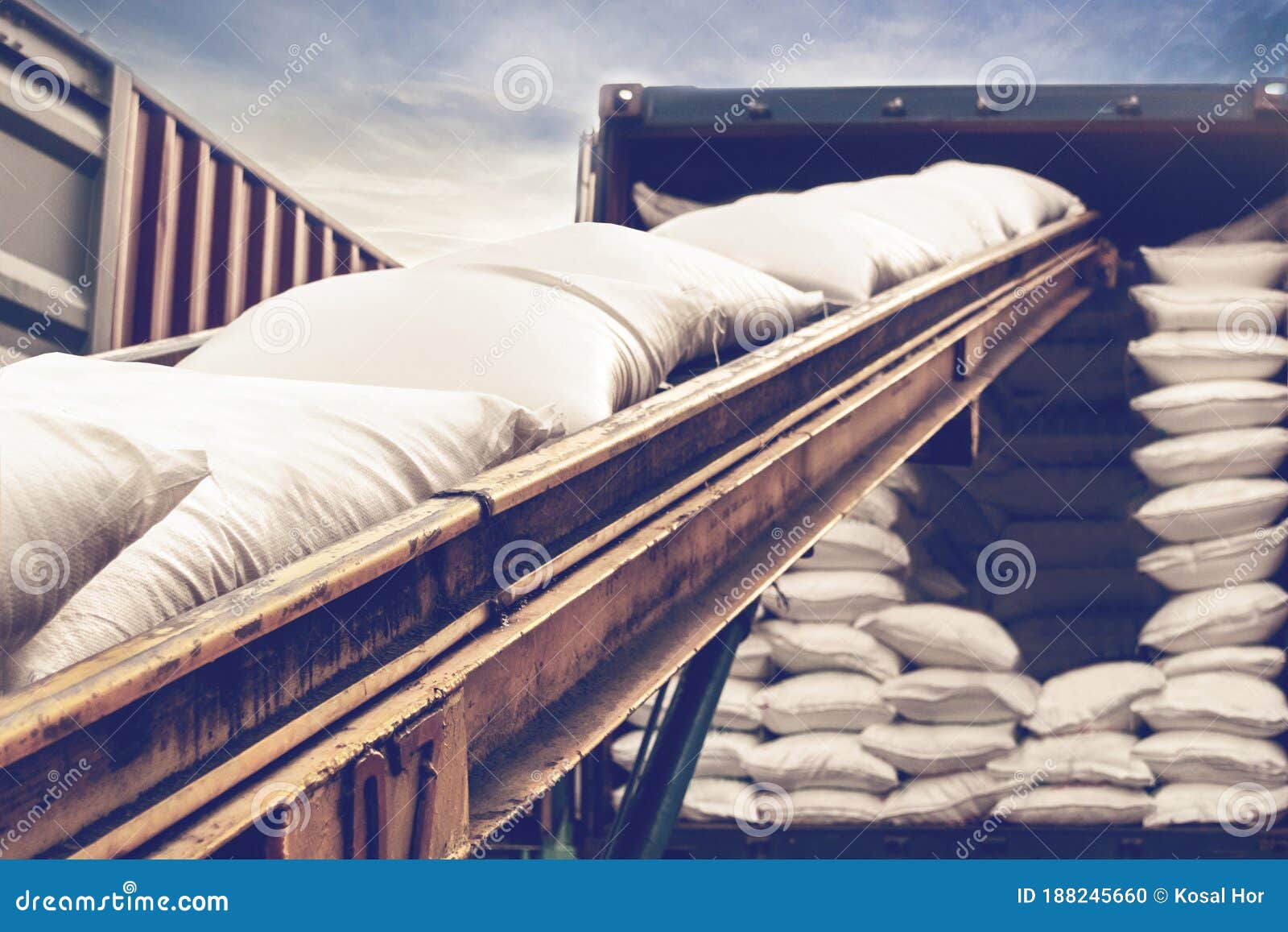White Sugar Bags Transferred To Container for Exporting Stock Photo ...