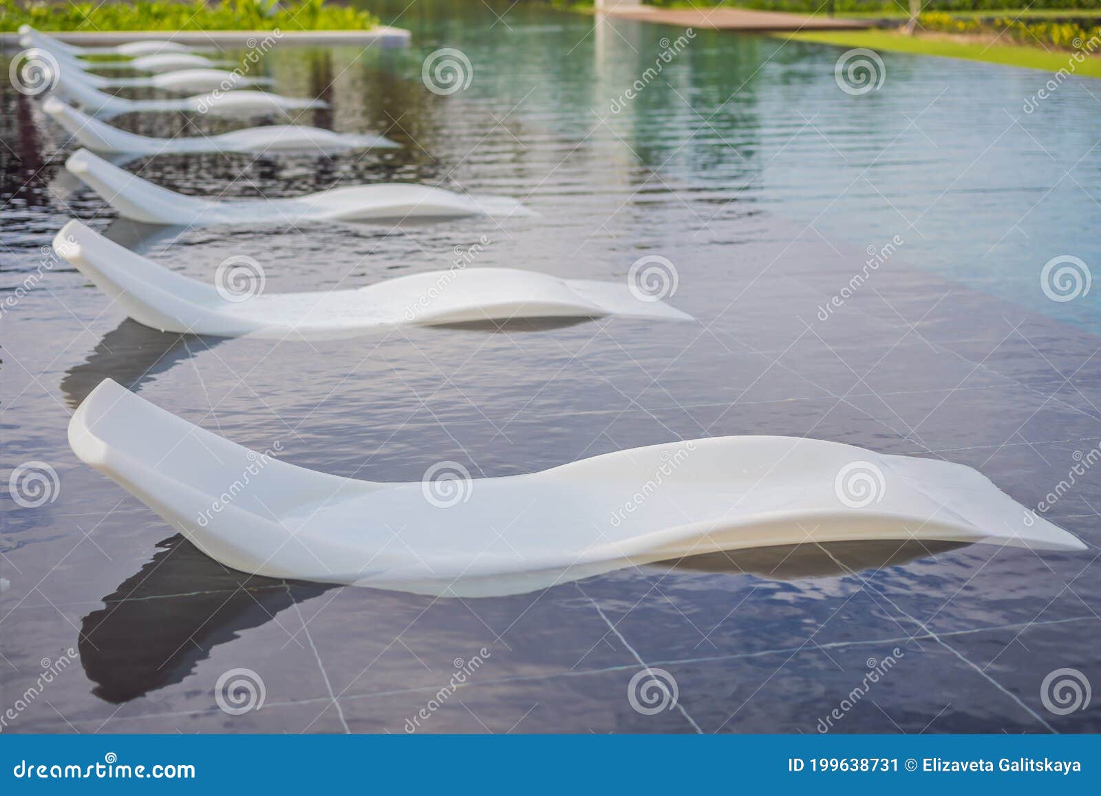 White Sun Loungers Stand in the Pool Water Stock Image - Image of ...