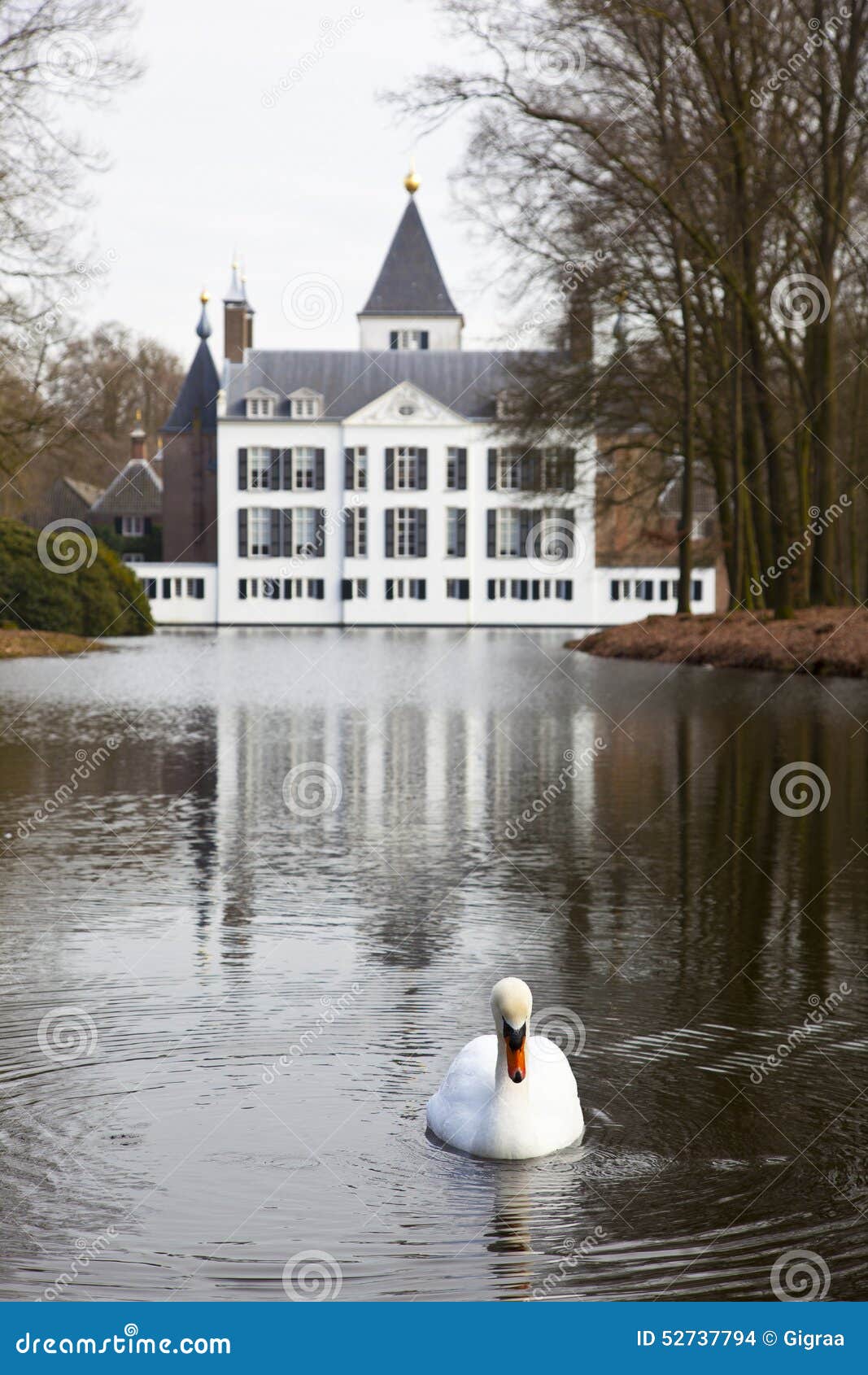 White Swan with Castle of Renswoude Stock Photo - Image of architecture ...