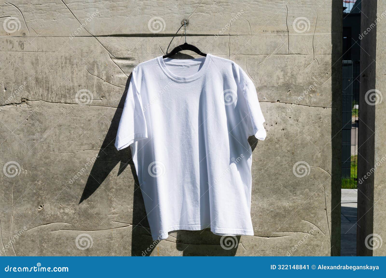 White T-shirt Hanging on a Hanger, Layout Stock Image - Image of short ...