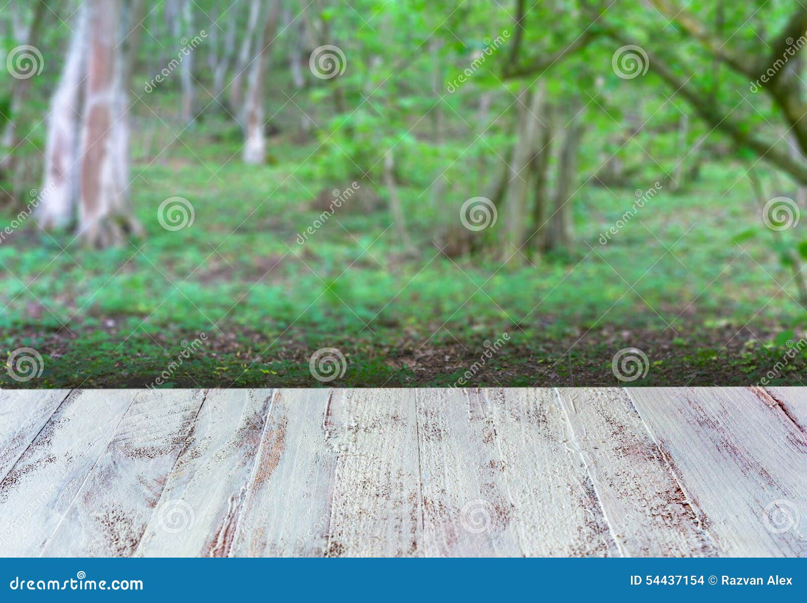 White Tabletop with Forest Background Stock Photo - Image of shift ...