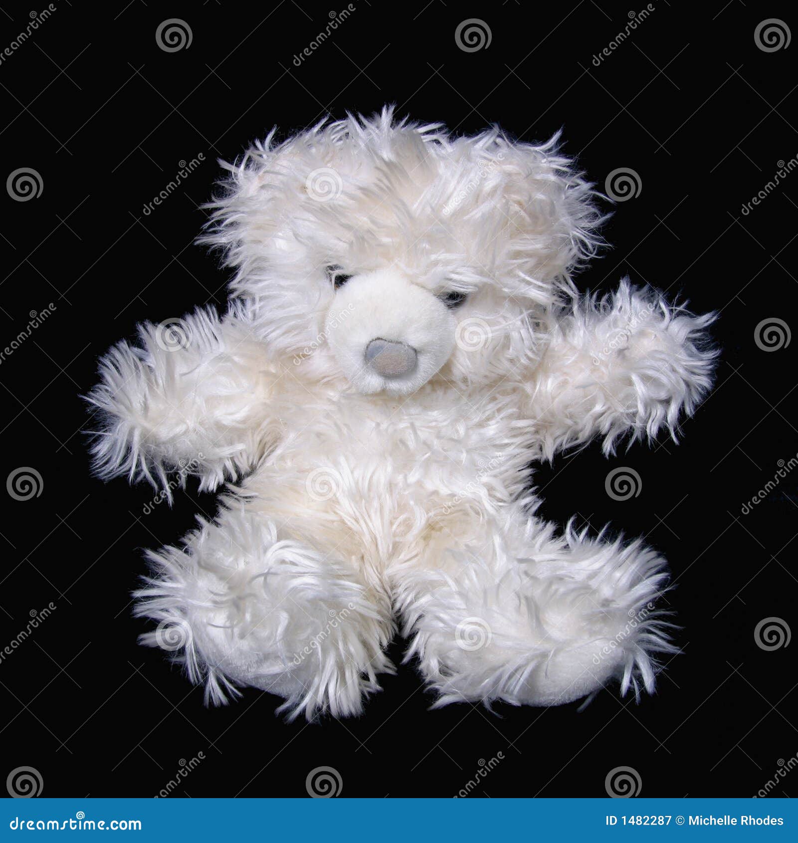 White Teddy Bear stock image. Image of infant, fluffy - 1482287