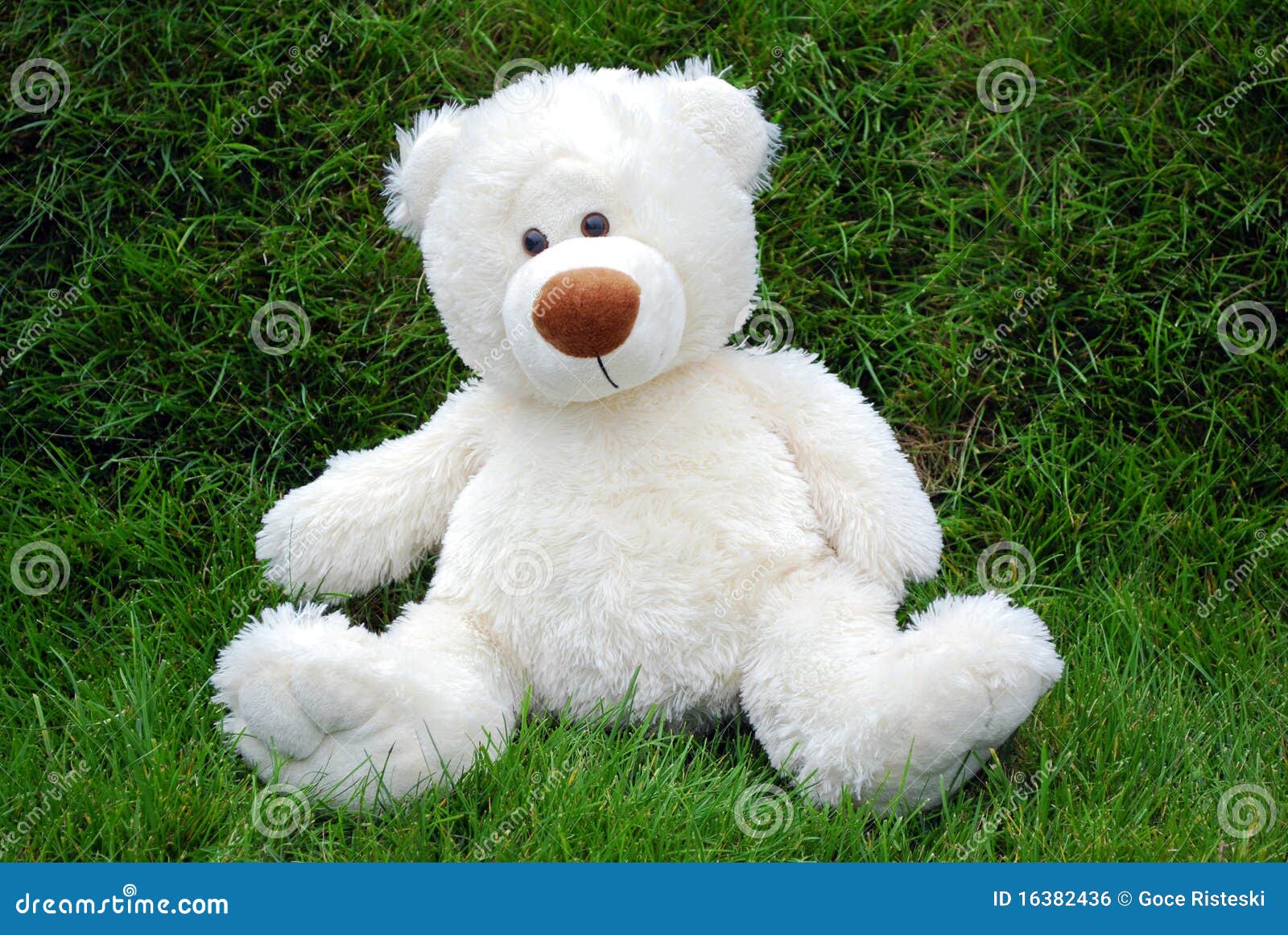 White teddy-bear stock photo. Image of plush, cute, fury - 16382436