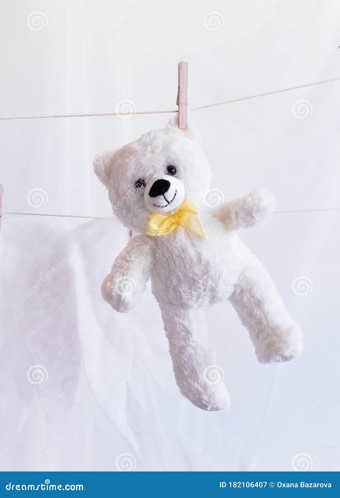 Teddy Bear Hanging on a Clothesline Stock Image - Image of small ...