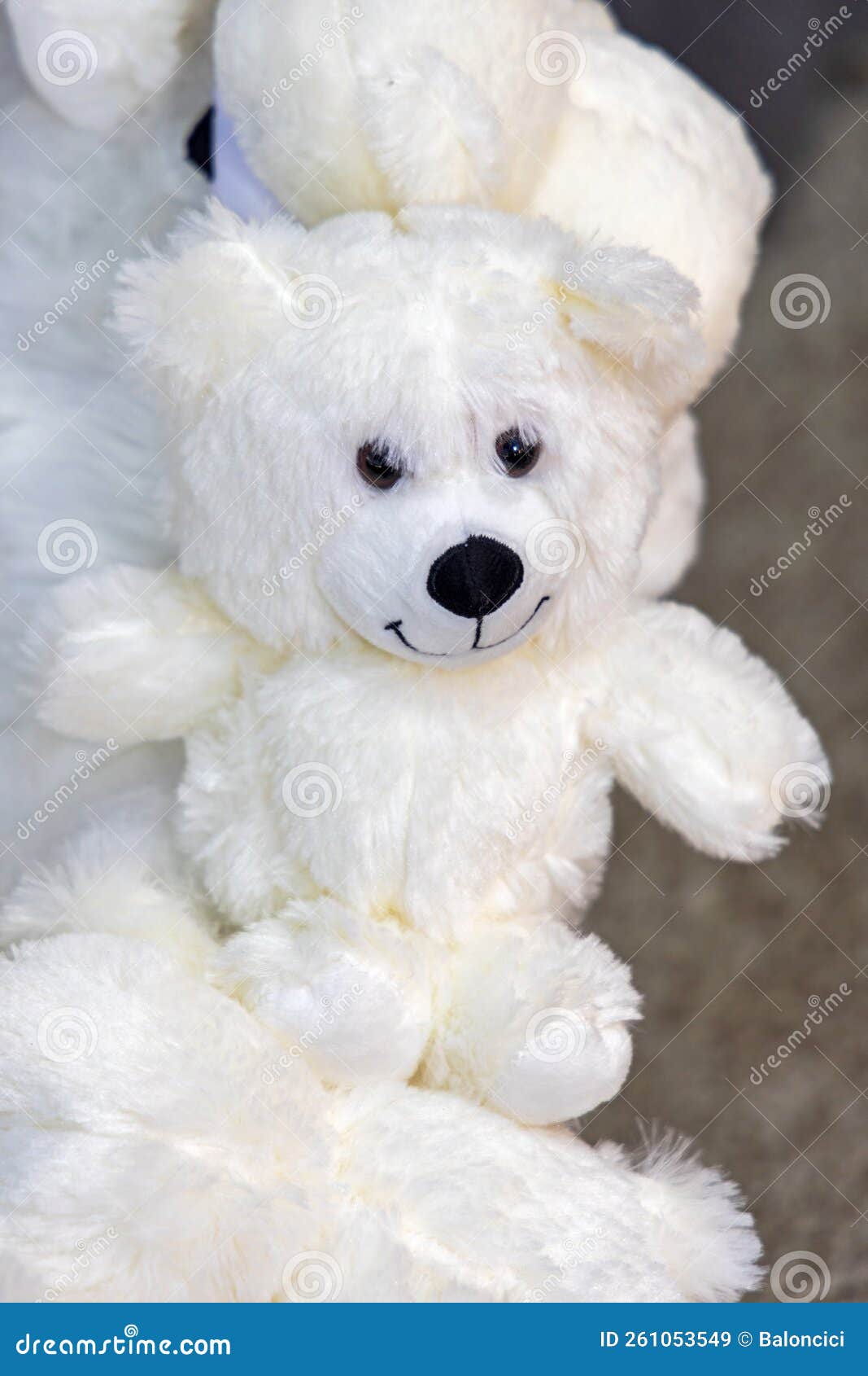 White Teddy Bear stock image. Image of pure, bear, animal - 261053549