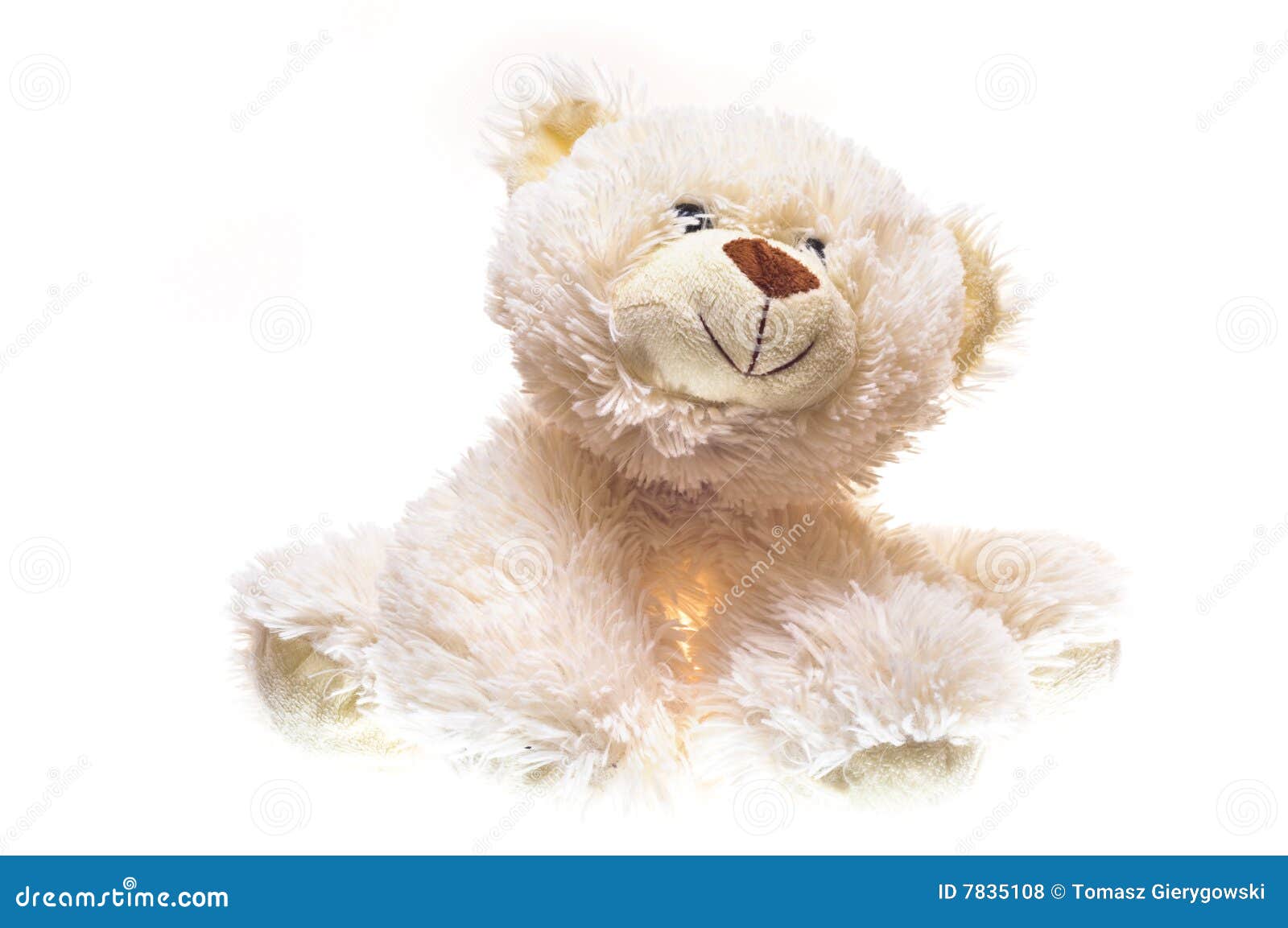 White Teddy bear soft toy. stock photo. Image of plush - 7835108