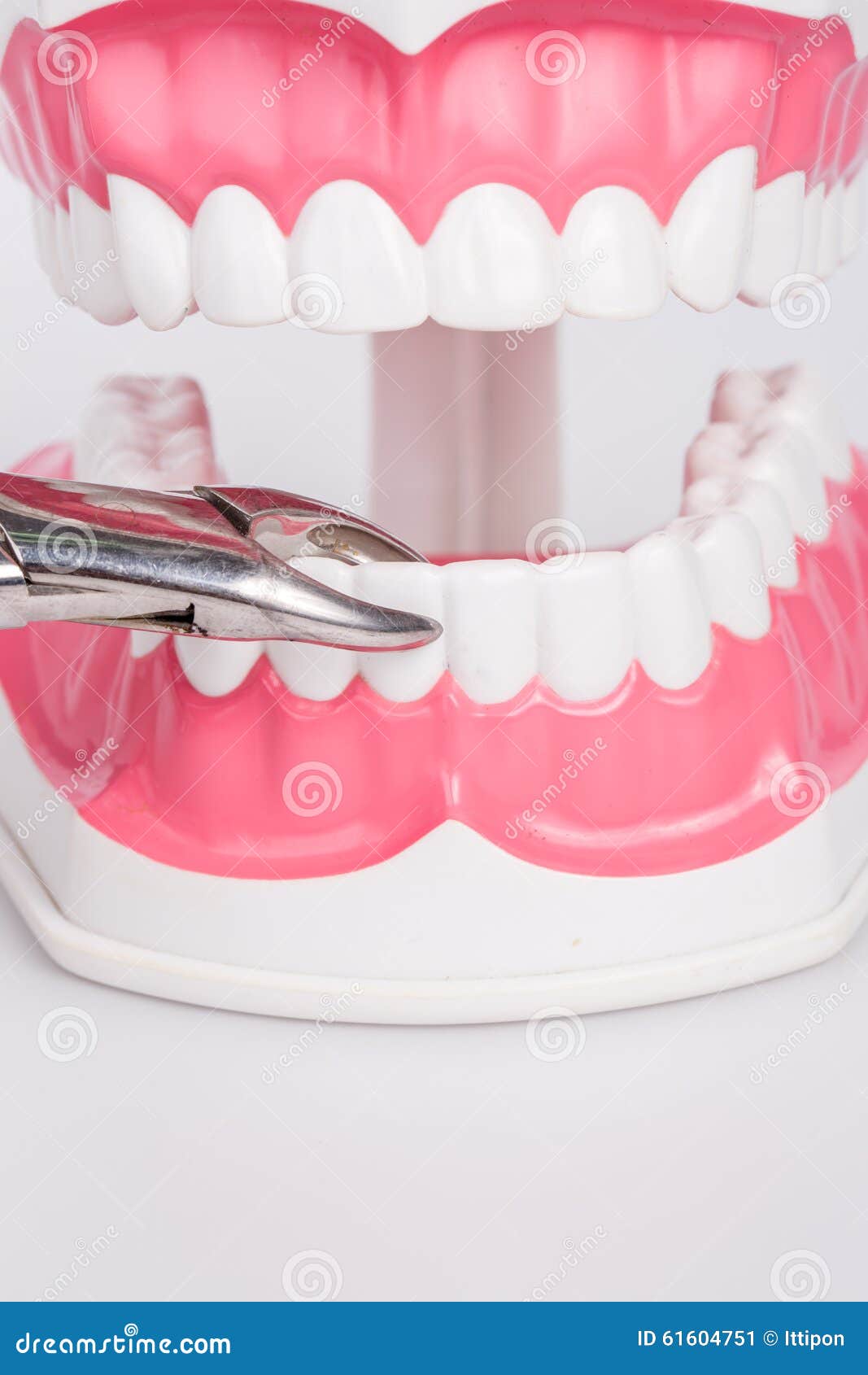 White Teeth and Dental Instruments Stock Image - Image of dental ...